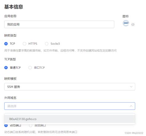 无公网ip反弹shell设置反弹ip Csdn博客