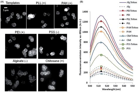 First Layer Of Polyelectrolyte Deposited On Caco 3 Templates A Download Scientific Diagram