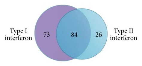 Interferon Signature In Genes Modulated By Fdsc αdec A Venn Diagram