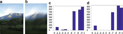 3 a query image b blurred query image c spatial fuzzy linked