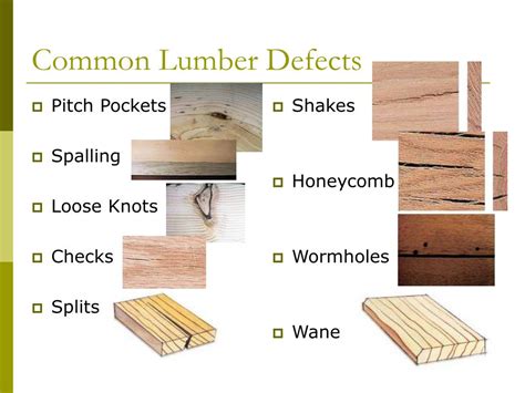 Lumber Defects at Tayla Thornton blog