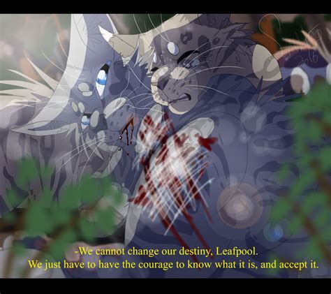 Cinderpelts Death By Warriorcat3042 On Deviantart