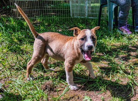 Paul Deatherage Paul Deatherage Added A New Photo