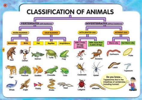 Classifying Mammals