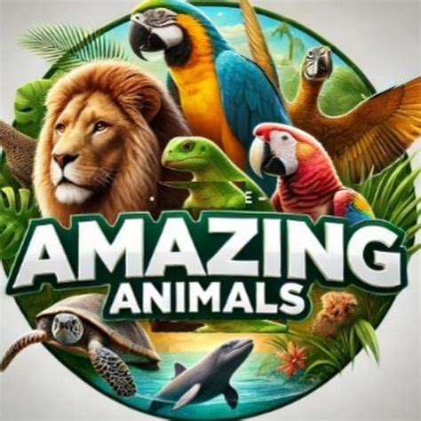 Amazing Animals Youtube