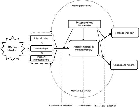 Room For Feelings A Working Memory” Account Of Affective Processing