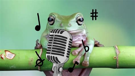 Quanto Ci Mancava Tarantasio Rubriche Tarantasio