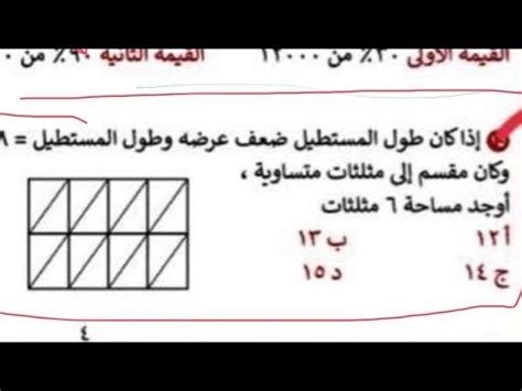 مستطيل طوله ضعف عرضة وطولة٨سم قسم الى مثلثات مامساحة،٦مثلثاتورقي