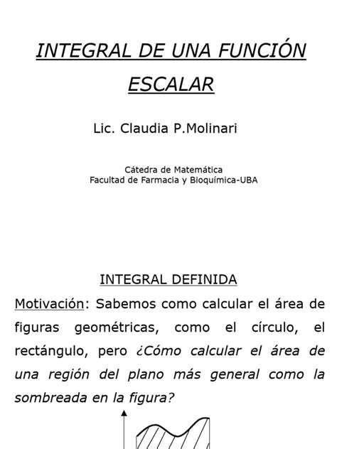 10 Integral De Una Funcin Real De Una Variable Pdf Integral Geometría