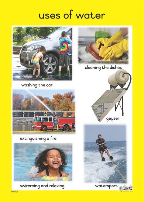 Water Foundation Phase Theme Grow Learning Company