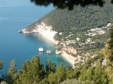 Accesso A Baia Dei Mergoli Ritiro Pass Allinfo Point Di Mattinata