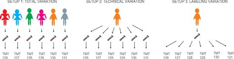 Overview Of The Experimental Designs Visualization Of The Three