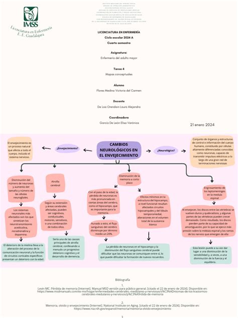 Enfermería Del Adulto Mayor Mapas Conceptuales Pdf