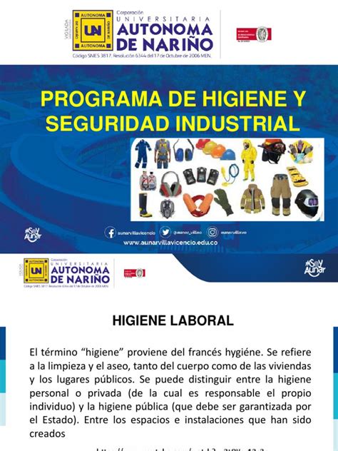 Programa De Higiene Y Seguridad Industrial Pdf Higiene Higiene