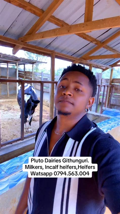 Ni Sawa Madem Wakamba Ni Warembo Lakini Kugawa 😂💔😢😢😢😉 Loyalty Test Season 2 Thee Pluto