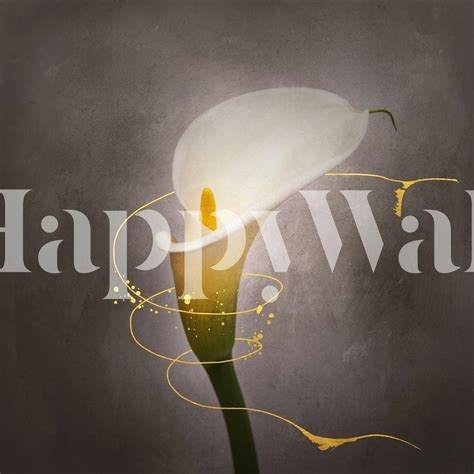 Graceful Flower Calla No 4 Vintage Style Gold Wallpaper Happywall