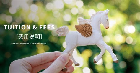 费用说明北京蒙台梭利国际学校