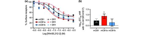 Receptor Internalization Is Differentially Attenuated By Sr141716 A