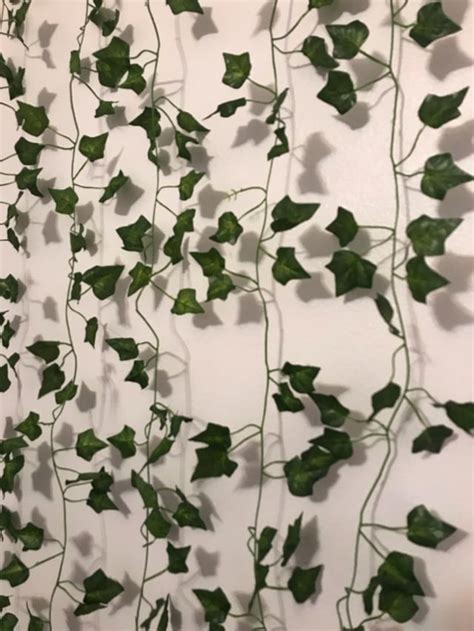 Hung Up These Cute Vines In My Room R Fairy Roleplay