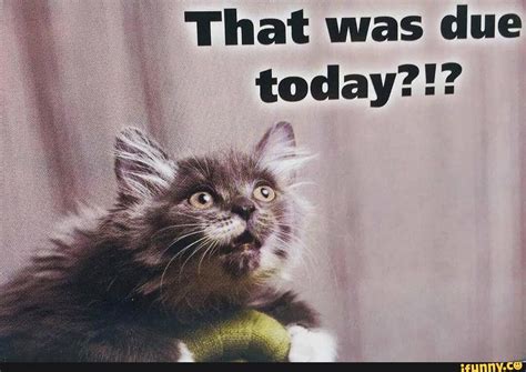 Duedates Memes Best Collection Of Funny Duedates Pictures On Ifunny