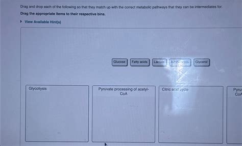 Solved Drag And Drop Each Of The Following So That They
