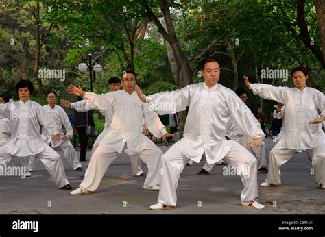 Morning Tai Chi Class In Position Under Trees In Zizhuyuan Purple