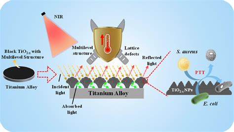 Titanium And Titanium Alloys As Biomaterials At Kathy Grogan Blog
