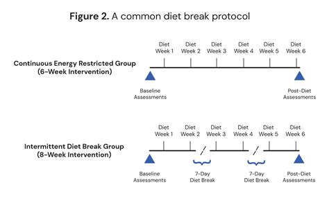 Are Refeeds And Diet Breaks All Theyre Cracked Up To Be Macrofactor
