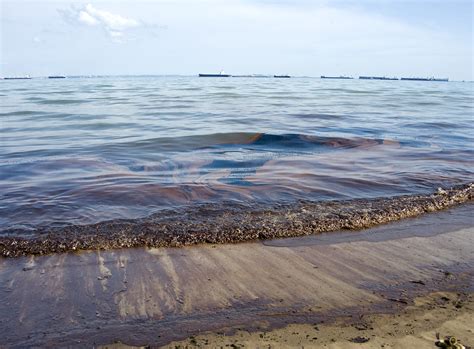 A New Compound Makes Waves For Oil Spill Clean Up Envirobites
