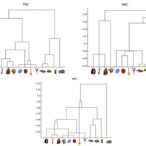 Visualization Of Representational Space Hierarchical Clustering For Download Scientific