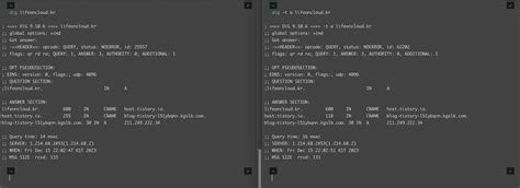 Dig 명령어 출력 결과 분석하기