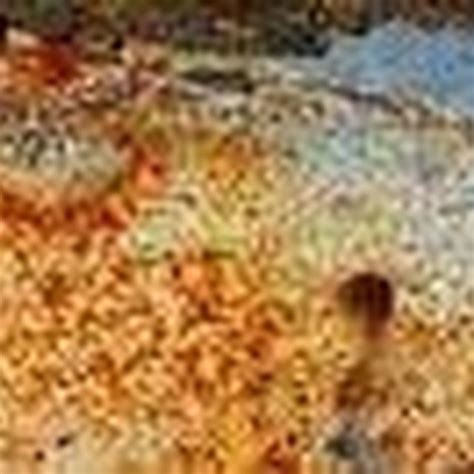 How Does Rust Spread Sciencing