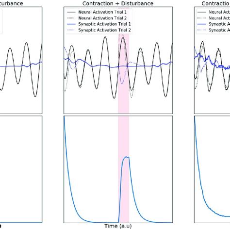 Contracting Dynamics Of Neural And Synaptic Activity Euclidean Download Scientific Diagram