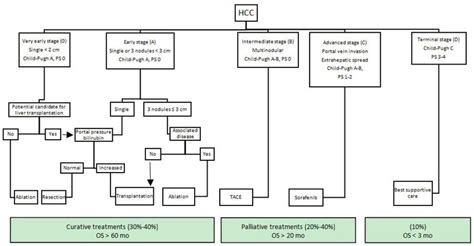 Bclc Staging System Ps Performance Status Osoverall Survival