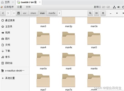 Linux下man手册汉化后，英文man手册被覆盖的解决办法怎么卸载man手册 Csdn博客
