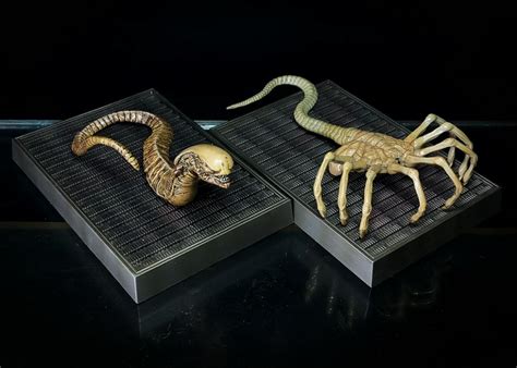 Alien 1979 Facehugger