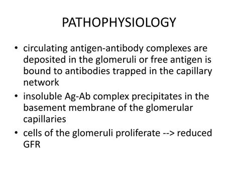 Ppt Pathogenesis Of Psgn Powerpoint Presentation Free Download Id