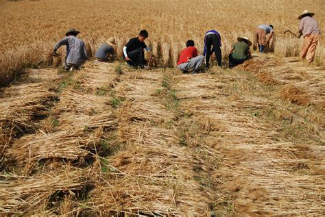 보리출판사 조개는 잡아서 젓 절이고 가는 님 잡아서 정들이자 어저께 왔소 그저께 왔소 열에두 석 달 잘 있다 왔소 고대광실만 바라지 말고 초가삼간이라도 정만 깊어라
