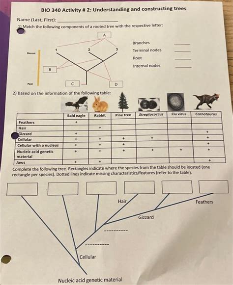 solved bio 340 activity 2 understanding and constructing