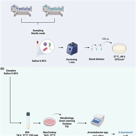 Flowchart Of Uncoated And Copper Coated Surface Sampling On Hospital Download Scientific