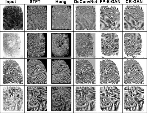 Sample Cases Of Successful Enhancement By Cr Gan Proposed And Download Scientific Diagram