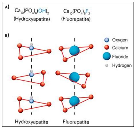 Hydroxyapatite For Biomedical Applications A Short Overview