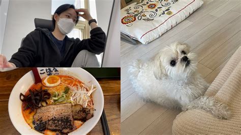 Vlog 대학원생 브이로그 연구실 가고 맛있는거 많이 먹는 일상 마루야 사랑해 Youtube