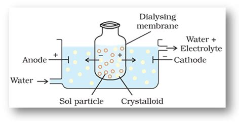 Purification Of Colloids
