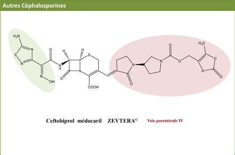 Les β Lactames Structure
