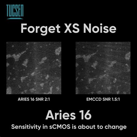 Learn About Emccd With Aries 16 At Sfn Tucsen Posted On The Topic Linkedin