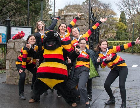 Mickey Bee Ormond Stories