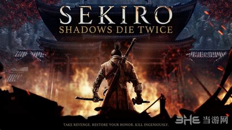 只狼破解版下载 只狼 影逝二度 Sekiro Shadows Die Twice Pc中文版 下载 当游网