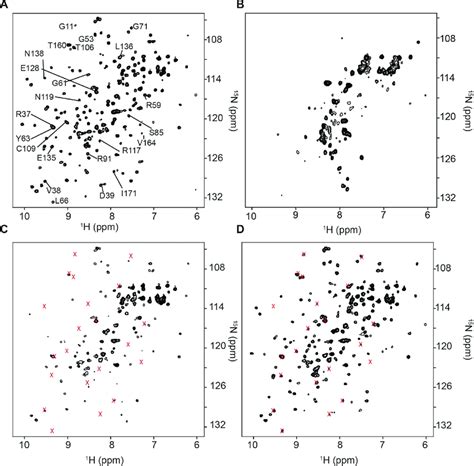 Proteins Quinary Structure At George Chavis Blog