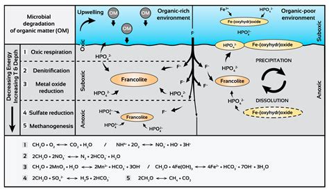 Phosphate Rocks A Review Of Sedimentary And Igneous Occurrences In Morocco